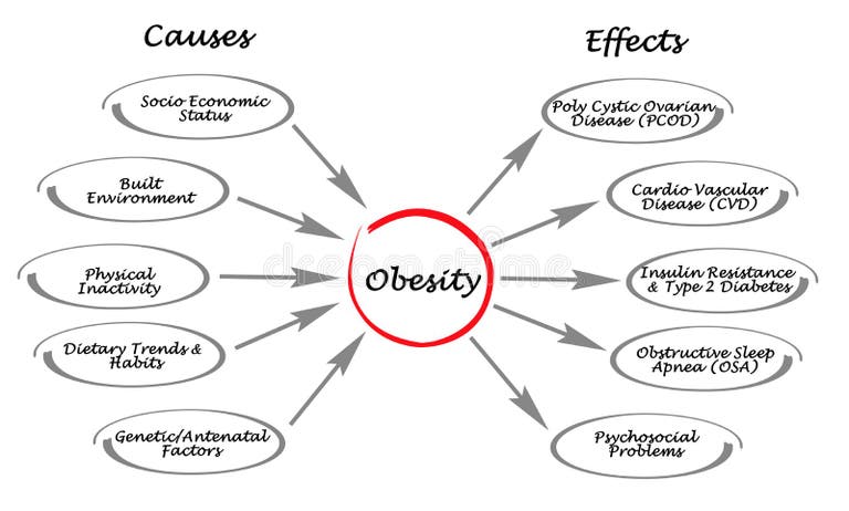 Obesity Diagram Stock Illustrations – 937 Obesity Diagram Stock ...