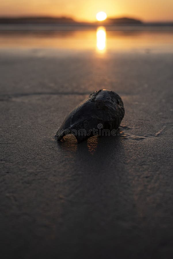 Object on the Beach at Sunset Stock Image - Image of light, morocco ...