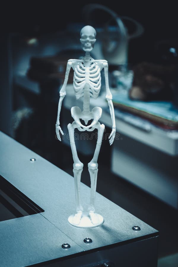 Object Human Skeleton Printed by 3d Printer. Stock Image - Image of ...