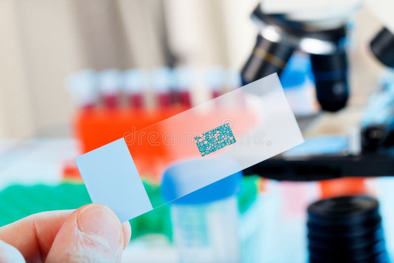 Object plate stock image. Image of cytology, slide, objective - 24823507