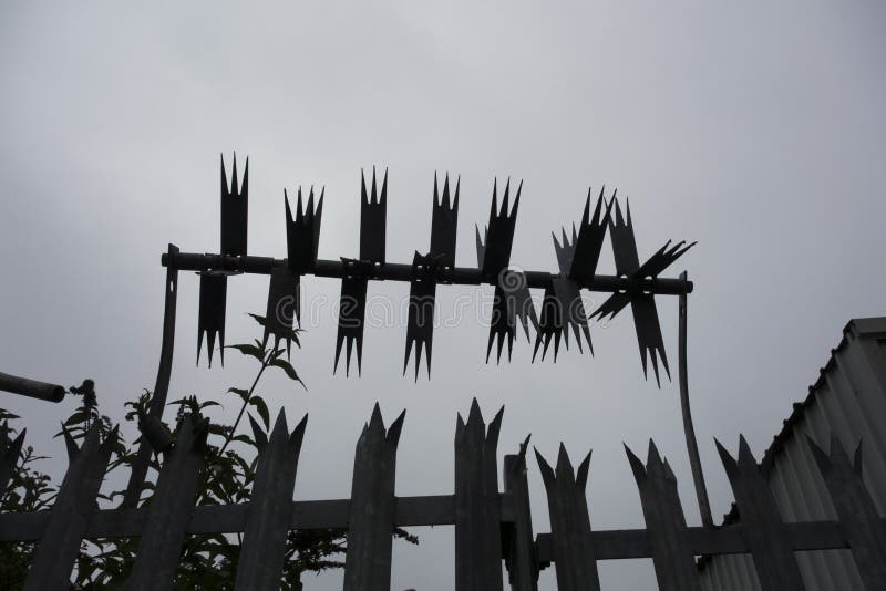 Sharp pointed agave leaves stock photo. Image of flora - 34819478