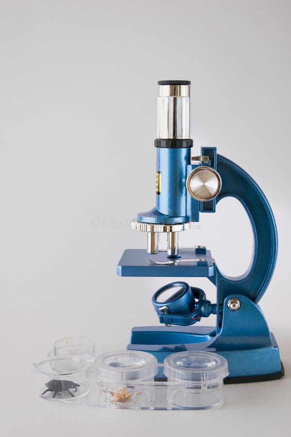 Microscope. stock photo. Image of science, lenses, insects - 117966496