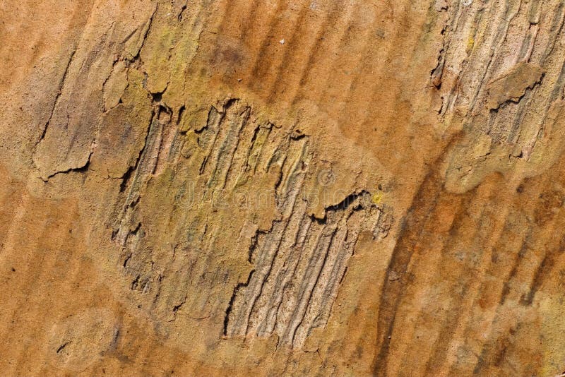 Object Was Corroded Chemicals Stock Photos - Free & Royalty-Free Stock ...