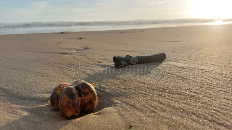 Object on White Sand with Frog View Stock Photo - Image of horizon ...
