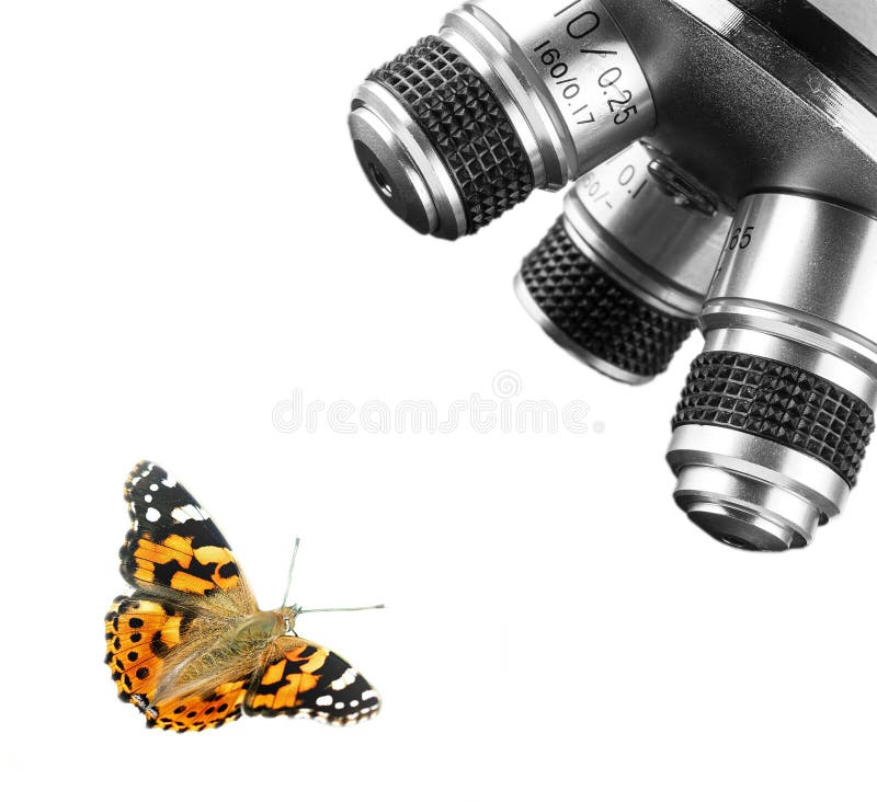 Objective Lens of Microscope and Butterfly Isolated on the White ...