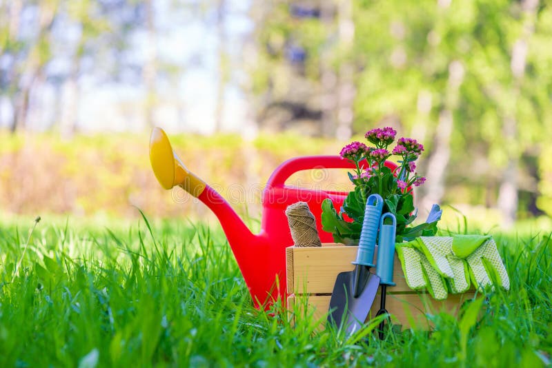 Objects Concept Photo Spring Work in the Garden Close Up Stock Photo ...