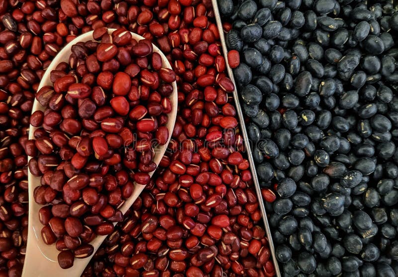 Objects and food stock image. Image of food, soup, beans - 265304443