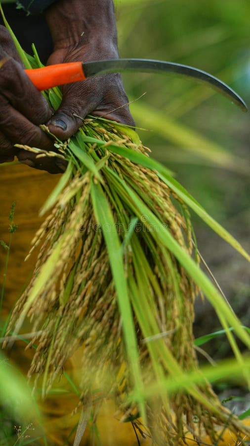 Objects and industrials stock photo. Image of high, country - 320558962