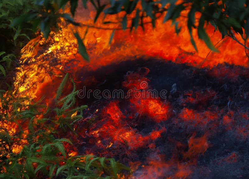 Objects and Nature stock image. Image of place, destroy - 212526225