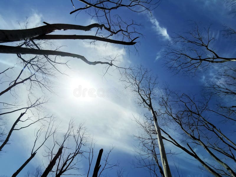 Objects and nature stock photo. Image of dead, nature - 226332888