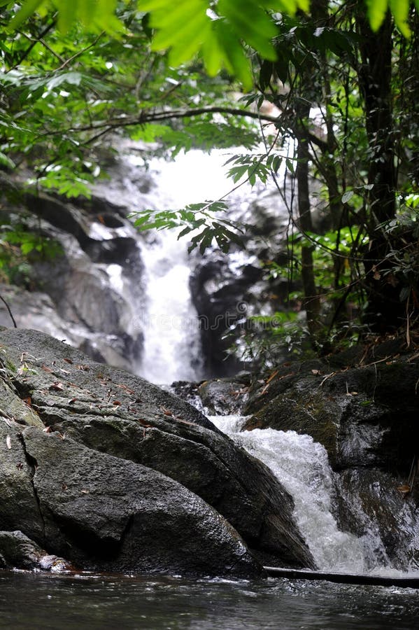 Objects and nature stock photo. Image of creek, water - 221649876