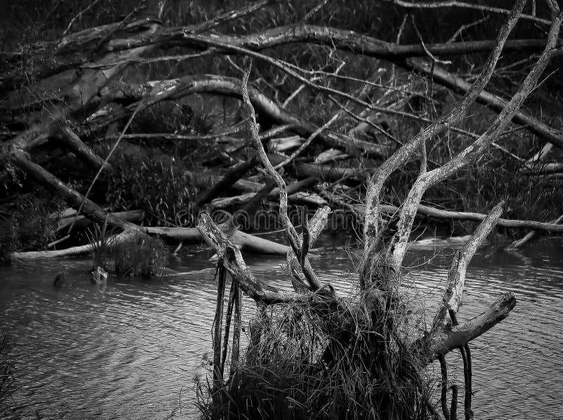 Objects and outdoor stock image. Image of lake, outdoor - 204281629