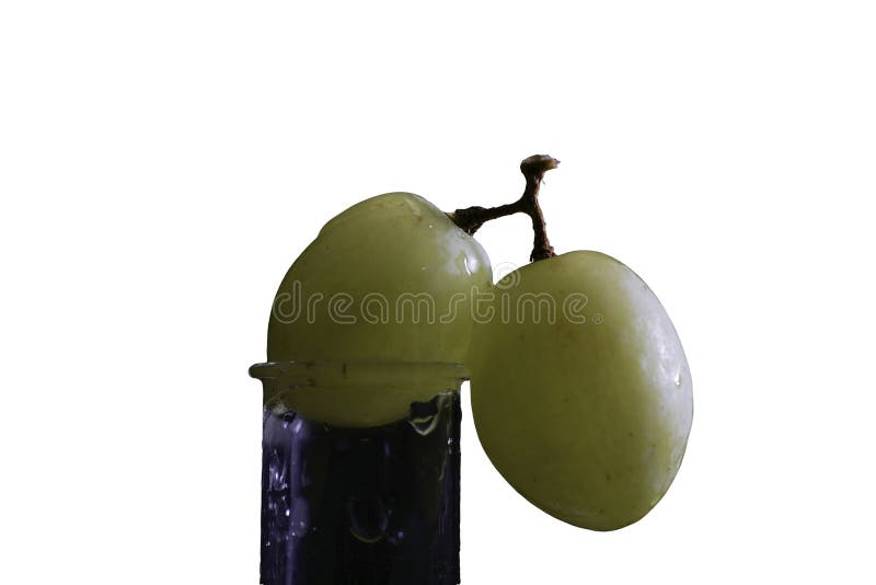 Objects Things Different Isolated and White Background Stock Image ...