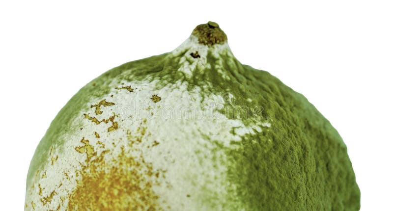 Objects Things Different Isolated and White Background Stock Image ...