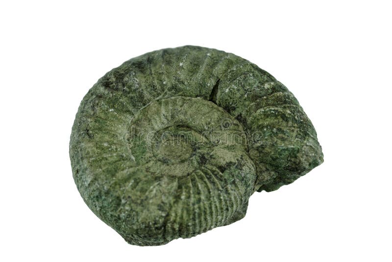 Objects Things Different Isolated and White Background Stock Image ...