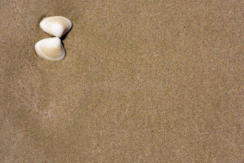 Objects Washed Up on Tropical Beaches Stock Image - Image of misty ...