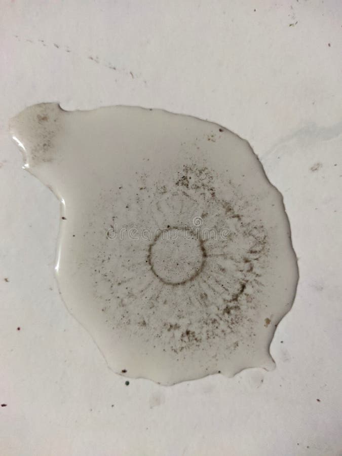 Objects in water stock image. Image of puddle, circle - 303982987