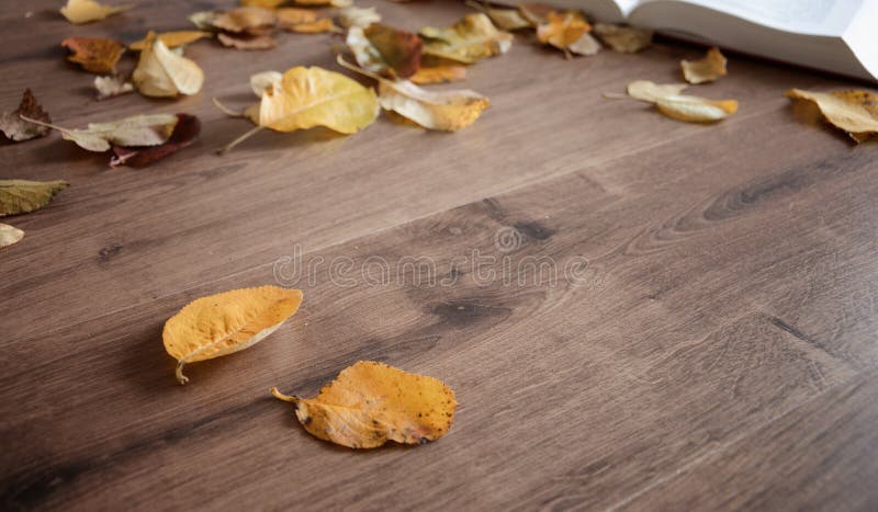 Objects on a Wooden Table a Cup of Coffee Stock Image - Image of rural ...