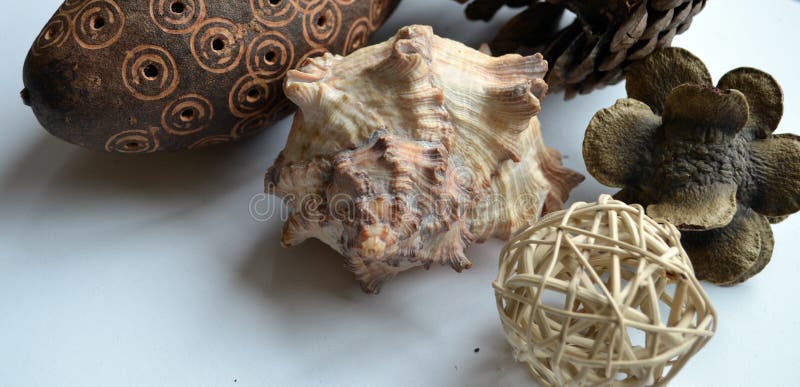 Objetos naturales imagen de archivo. Imagen de arregle - 71283947