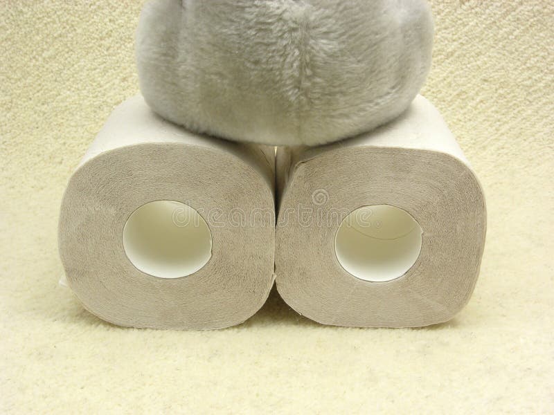 Objetos Suaves E Higiénicos/sanitarios Imagen de archivo - Imagen de ...