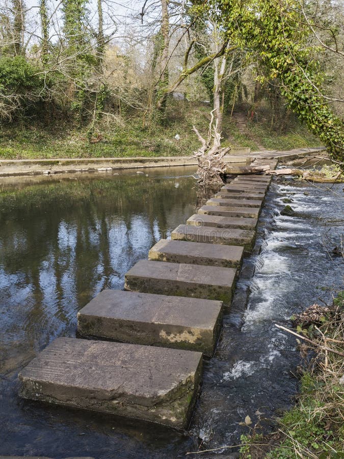 Oblong Stepping Stones with Fallen Tree Obstruction Stock Photo - Image ...