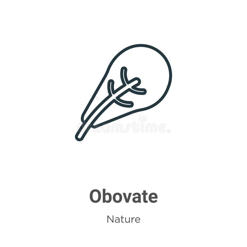 Outline Obovate Vector Icon. Isolated Black Simple Line Element ...