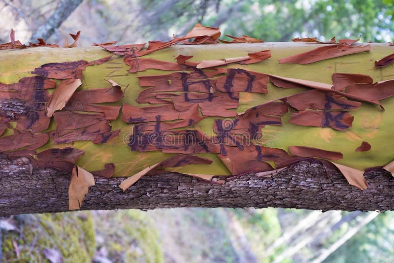 Obscure message stock photo. Image of inscrutable, obscure - 258494436