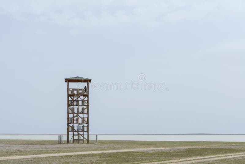 Observant stock image. Image of depression, alone, human - 72181171