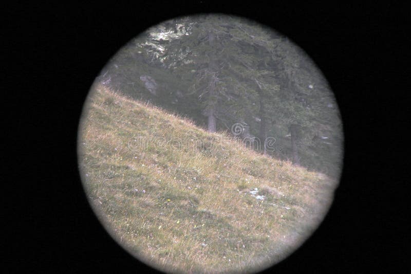 Observation with Binoculars in Nature, View through Binoculars Stock ...