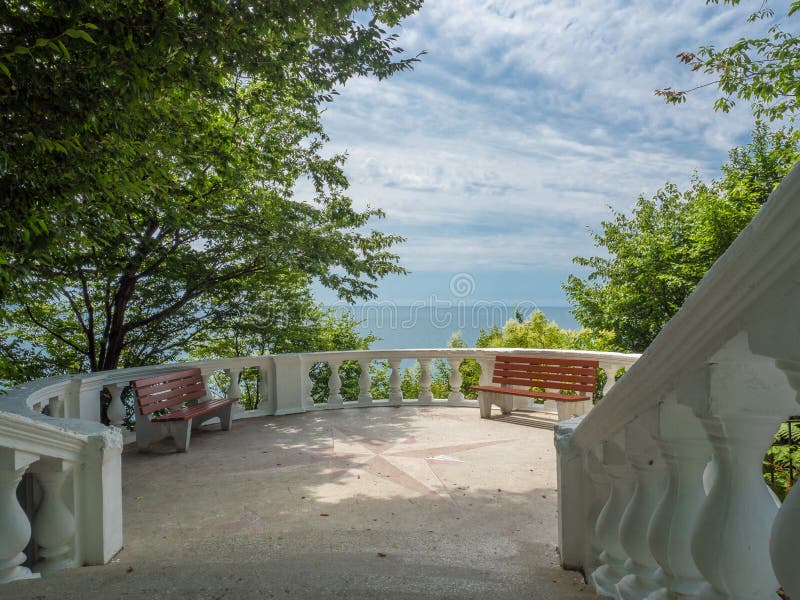 Forest Observation Deck