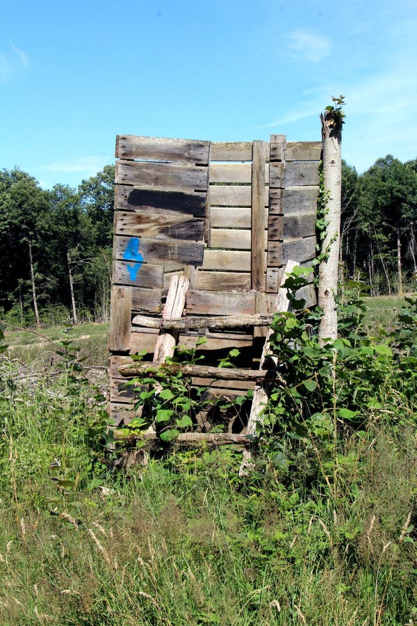 Observation post stock image. Image of forest, trees - 196780951