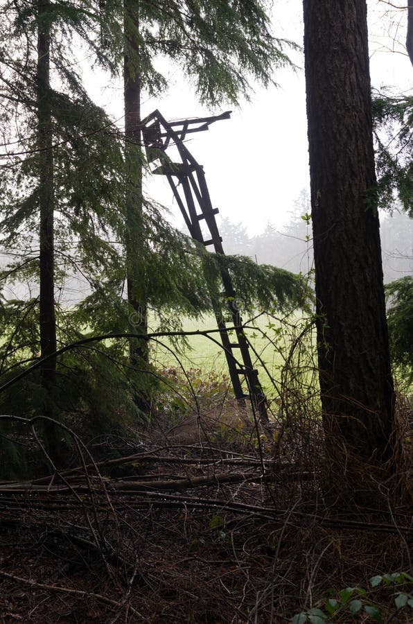 Observation post stock photo. Image of hunting, looking - 78436988