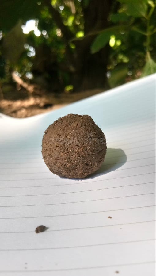 Observation of soil stock image. Image of land, observation - 222939097