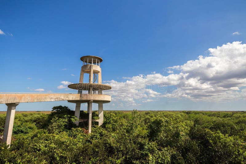 Observation Tower, Everglades National Park Stock Photo - Image of ...