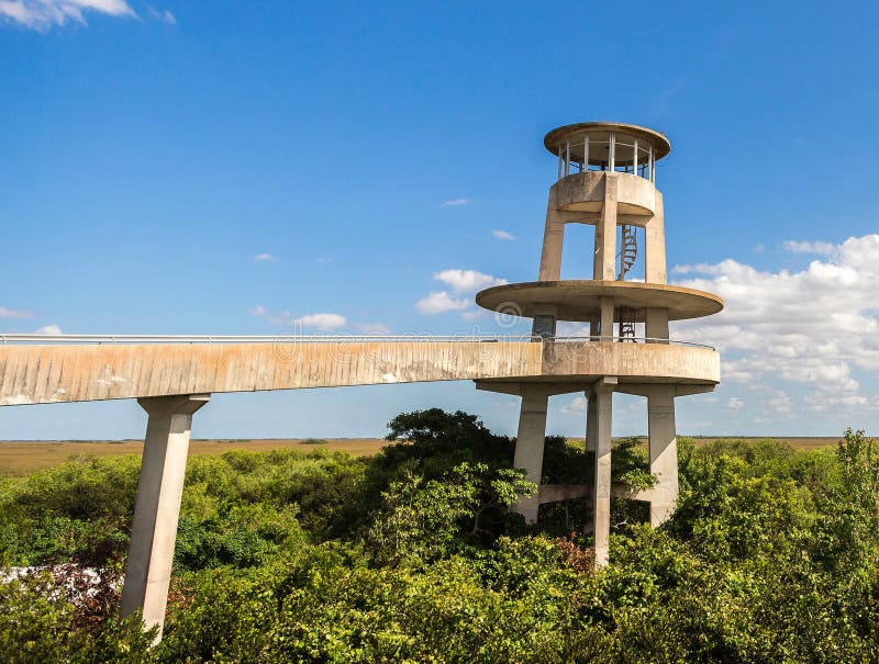 Observation Tower, Everglades National Park Stock Photo - Image of ...