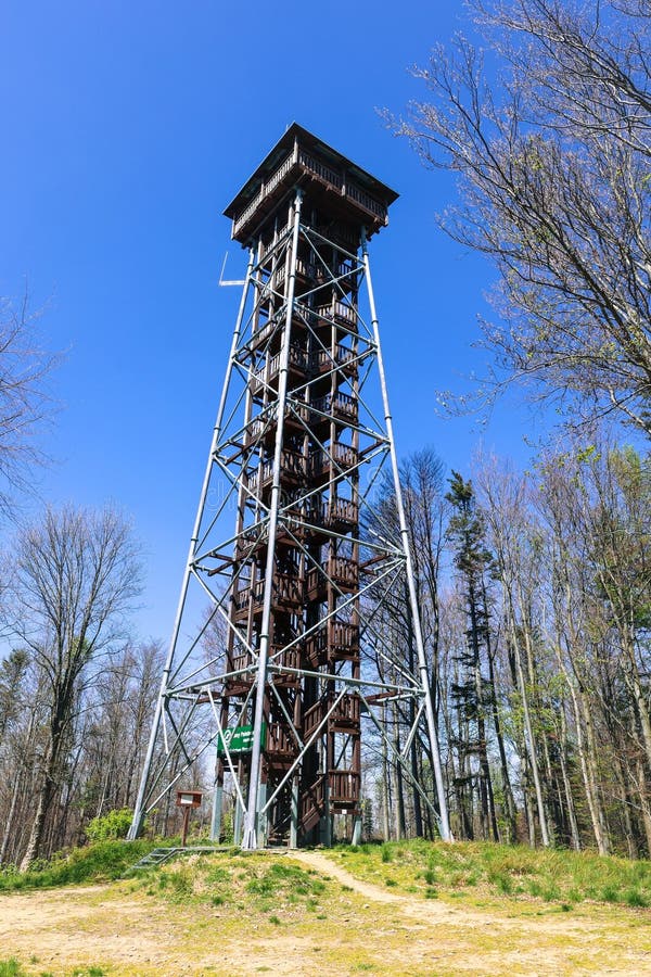 Observation Tower in Forest Under Clear Sky Stock Photo - Image of ...