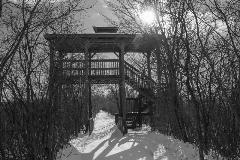 Observation Tower in a Protected Quebec Park Stock Photo - Image of ...