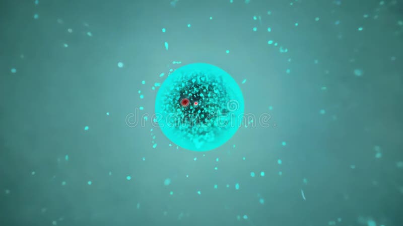 Exploring Intracellular Dynamics in a Cellular Environment during Early ...