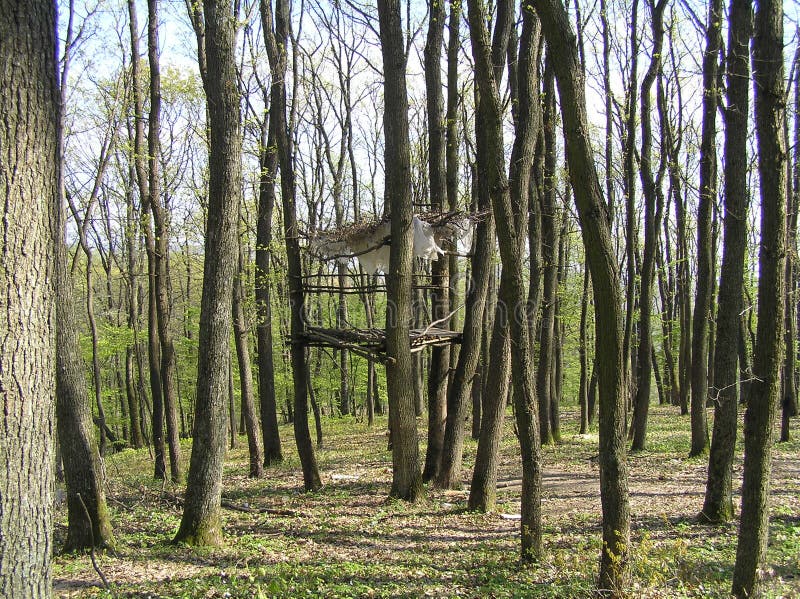 OBSERVER HOUSE stock image. Image of observer, houses - 12171845