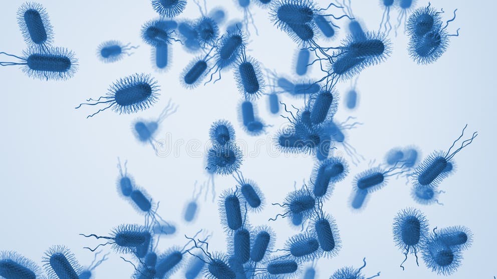 Bacteria or Virus Under Microscope Stock Illustration - Illustration of ...