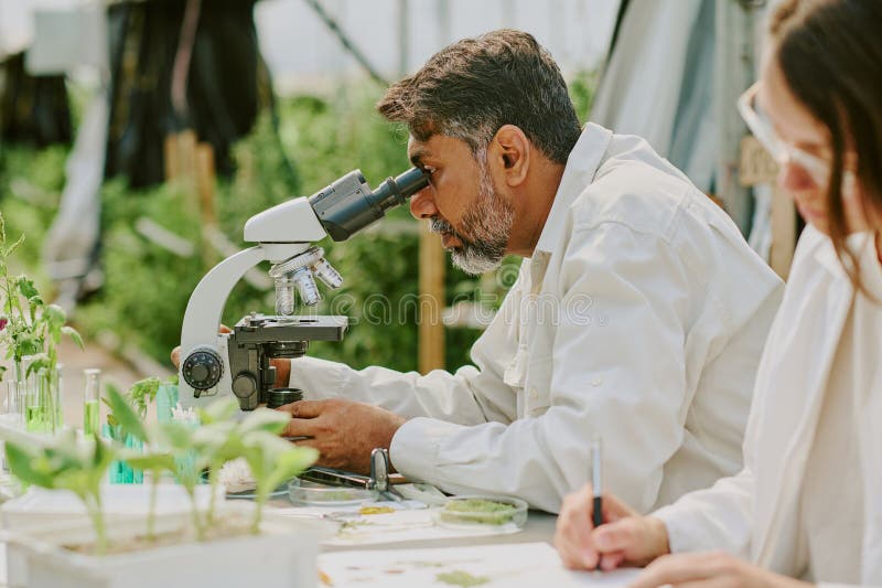 Observing Plant Samples Using Laboratory Microscope Stock Photo - Image ...
