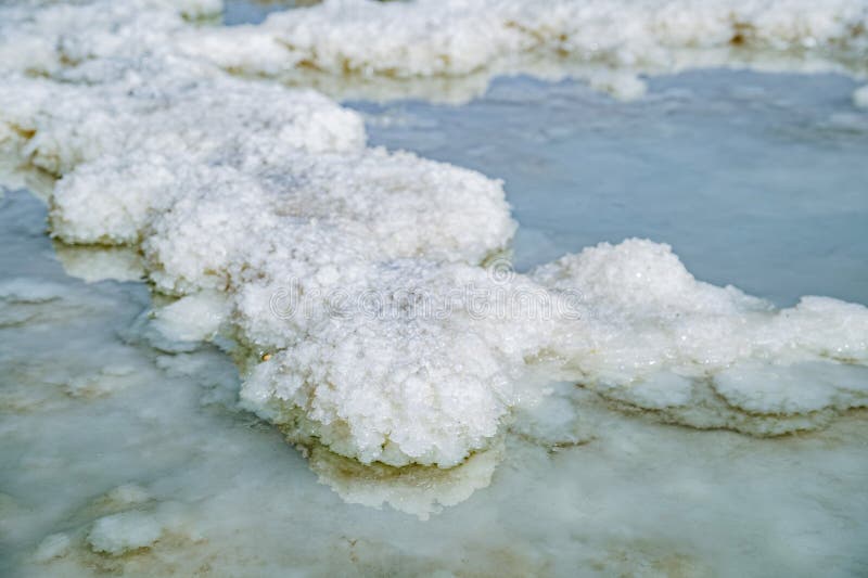 Observing Salt Formation in Water is Fascinating, with Crystals and ...