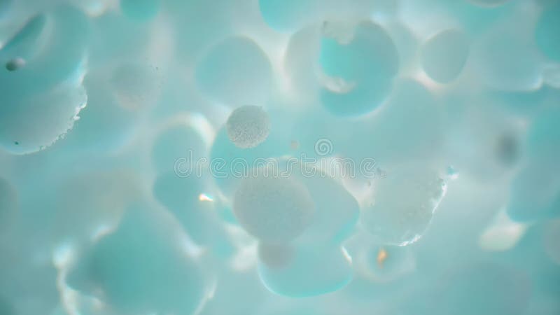 Observing Small, Dense Cells Under a Microscope in a Laboratory Setting ...