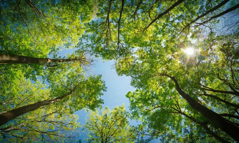 A Row of Terrestrial Plants Emerging from the Ground in a Colorful ...