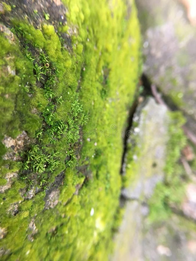 Micro People stock image. Image of connected, people - 20292955