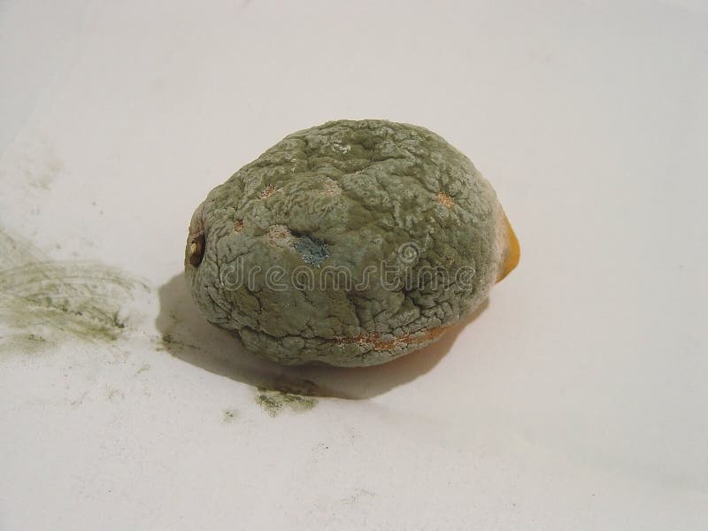 Broken Lemon Car stock image. Image of fell, single - 117308827