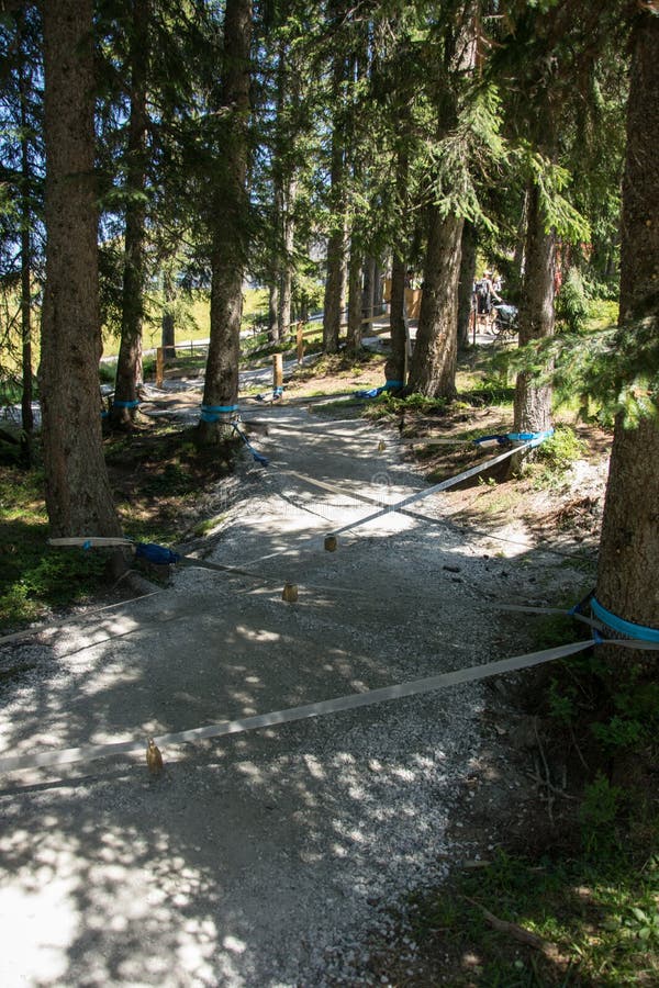 Obstacle Course for Children in the Forest in the Austrian Alps. Stock ...