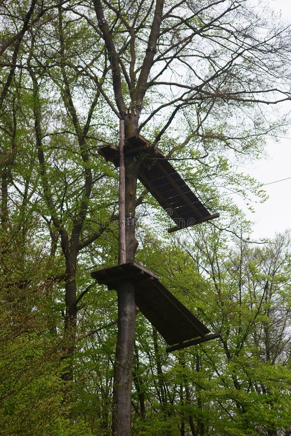 Wooden Platform in the Climbing Forest Stock Photo - Image of high ...