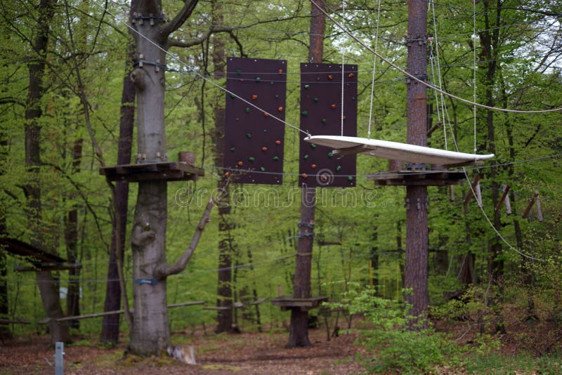 Forest Children S Obstacle Course From Ropes Stock Image - Image of ...