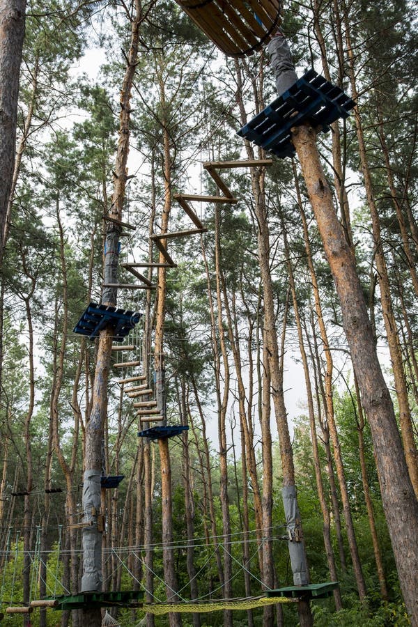 Obstacle Course, Rope Park among the Trees in the Forest Stock Photo ...